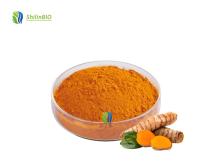 China Pure Turmeric Powder Curcuma Longa Extract Turmeric Root Extract  95% curcuminoids Curcumin Powder for sale