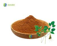 China Epimedium Extract Horny Goat Weed 98% Icariin Powder for Nutraceutical and Sports Nutrition for sale