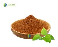 China Mulberry Leaf Extract Powder 1-DNJ 10% Standardized for Blood Sugar Support for sale