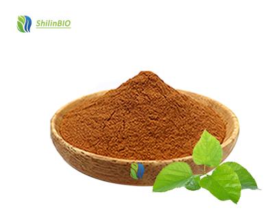 China Mulberry Leaf Extract Powder 1-DNJ 10% Standardized for Blood Sugar Support for sale
