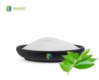 China Wholesale High Quality L Theanine Tea Extract L-theanine 99% L-Theanine Powder for sale