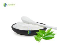 China Wholesale High Quality L Theanine Tea Extract L-theanine 99% L-Theanine Powder for sale