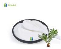 China Bulk Saw Palmetto Extract Powder 25% 45% Fatty Acids for Prostate and Hair Health for sale