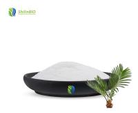 China Bulk Saw Palmetto Extract Powder 25% 45% Fatty Acids for Prostate and Hair Health for sale
