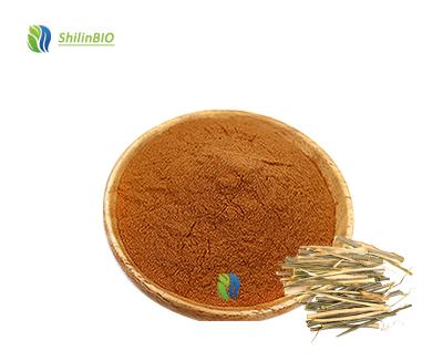 China Wholesale Willow Bark Extract Powder 15%-50% Salicin Natural Pain Relief Supplement for sale