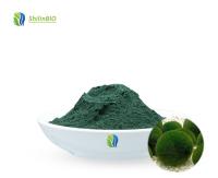 China Broken Cell Wall Chlorella Powder 50% Protein 1.5% Chlorophyll Green Superfood for sale