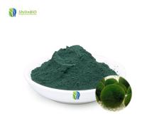 China Broken Cell Wall Chlorella Powder 50% Protein 1.5% Chlorophyll Green Superfood for sale
