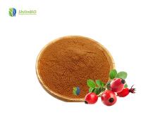 China Rosehip Fruit Extract Powder Vitamin C 10%-25% Natural Rose Hip Extract for Skincare Supplements for sale