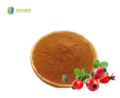 China Rosehip Fruit Extract Powder Vitamin C 10%-25% Natural Rose Hip Extract for Skincare Supplements for sale