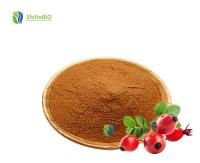 China Rosehip Fruit Extract Powder Vitamin C 10%-25% Natural Rose Hip Extract for Skincare Supplements for sale