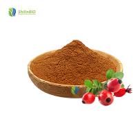 China Rosehip Fruit Extract Powder Vitamin C 10%-25% Natural Rose Hip Extract for Skincare Supplements for sale