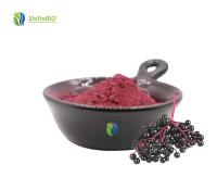 China High Purity Black Elderberry Extract Powder 25% Anthocyanidins Bulk for sale