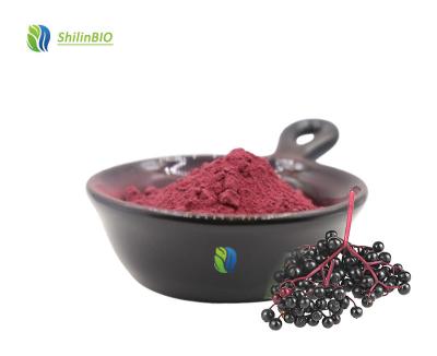 China High Purity Black Elderberry Extract Powder 25% Anthocyanidins Bulk for sale