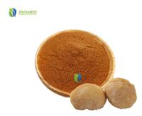 China Food Grade Hericium Erinaceus Powder - 100% Pure Lion's Mane Mushroom Bulk Supplement for sale