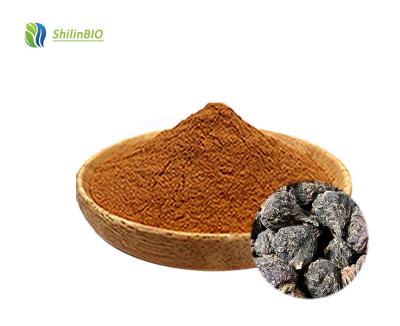 China Organic Maca Root Extract Powder 10:1 Concentrate Black Maca Powder 80 Mesh for Men for sale