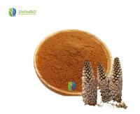 China Food Grade Cistanche Deserticola Extract Powder 10% 20% 40% Echinacoside for sale