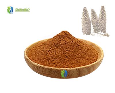 China Cistanche Tubulosa Extract Powder 10:1 80 Mesh Bulk for Food Cosmetics Feed for sale