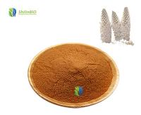 China Cistanche Tubulosa Extract Powder 10:1 80 Mesh Bulk for Food Cosmetics Feed for sale