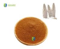 China Cistanche Tubulosa Extract Powder 10:1 80 Mesh Bulk for Food Cosmetics Feed for sale