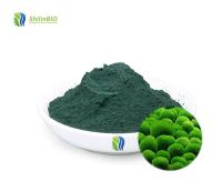 China Chlorella Algae Powder 50%~60% Protein for sale