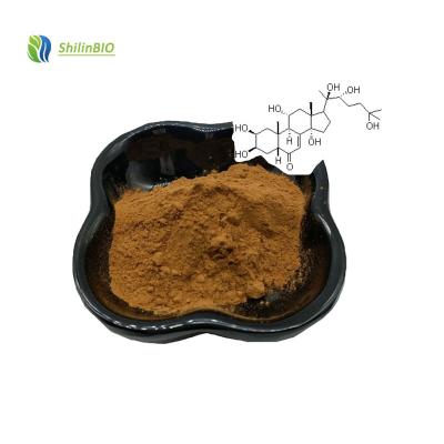China Ajuga Turkestanica Extract 2% 10% Turkesterone Powder - HPLC Verified Botanical Supplement Ingredient for sale