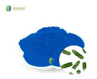 China Phycocyanin Powder 270 Color Value Natural Blue Food Colorant with 80 Mesh Particle Size for sale