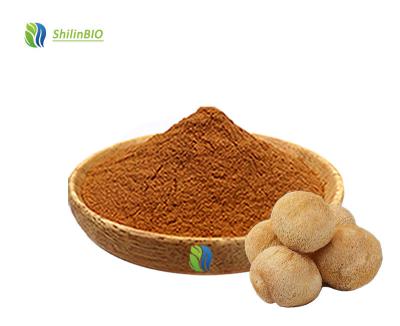 China Lion's Mane Mushroom Extract 30% Polysaccharides Hericium Erinaceus Powder 80 Mesh for sale