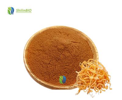 China Cordyceps Militaris Extract Powder 30% Polysaccharide 80 Mesh Food Grade for sale