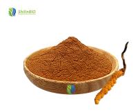 China Cordyceps Sinensis Extract Powder 50% Cordyceps Polysaccharide Immune Support Supplement for sale