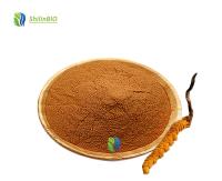 China Cordyceps Sinensis Extract Powder 50% Cordyceps Polysaccharide Immune Support Supplement for sale