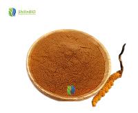 China Cordyceps Sinensis Extract Powder 50% Cordyceps Polysaccharide Immune Support Supplement for sale