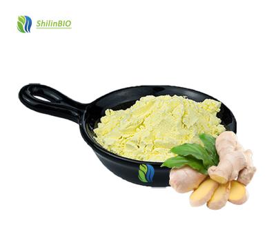 China Ginger Extract Powder 1%-20% Gingerol for sale