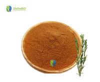 China Rosmarinus Leaf Extract 5%-95% Rosmarinic Acid for sale
