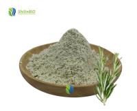 China Rosemary Extract 5%-50% Ursolic Acid for sale