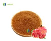 China Pure Pomegranate Extract  40%-98% Ellagic acid for sale