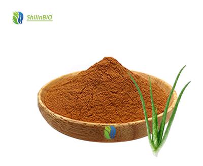 China Aloe Reetha Extract Powder 200:1 100:1 10:1 for Cosmetic and Health Use for sale