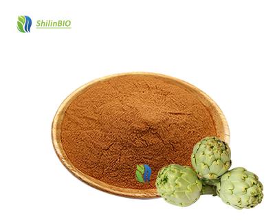 China Artichoke Extract Powder 5% Cynarin Liver Health Supplement 80 Mesh for sale