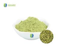 China Rutin Extract 95% Rutin for sale