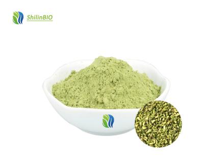 China Rutin Extract 95% Rutin for sale