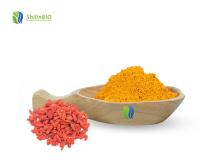China 100% Pure Wolfberry Extract Powder - 80 Mesh Particle Size with 40-60g/100ml Bulk Density for Enhanced Absorption for sale