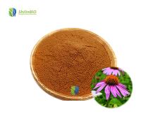 China Echinacea Purpurea Extract Powder 4% Cichoric Acid Immune Support Supplement for sale