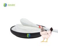 China Chicken Type II Collagen Peptide for sale