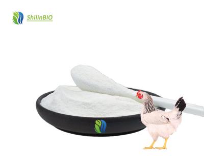 China Chicken Type II Collagen Peptide for sale
