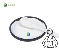 China Bulk 99% L Carnitine Powder for sale