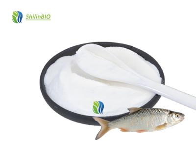 China Pure 99% Fish Collagen Powder for sale