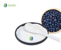 China Freeze Dried Blueberry Powder Bulk 80 Mesh Antioxidant Rich Superfruit Extract for sale