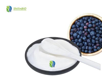 China Freeze Dried Blueberry Powder Bulk 80 Mesh Antioxidant Rich Superfruit Extract for sale