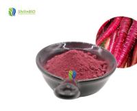 China Purple Carrot Powder 20% Anthocyanins Natural Antioxidant Superfood 1kg for sale