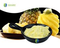 China Pineapple Fruit Powder for sale