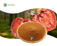 China Ganoderma Lucidum Spore Powder - 5-8 Micron Particle Size with 2.9% Polysaccharides and 1.3% Triterpenes for sale